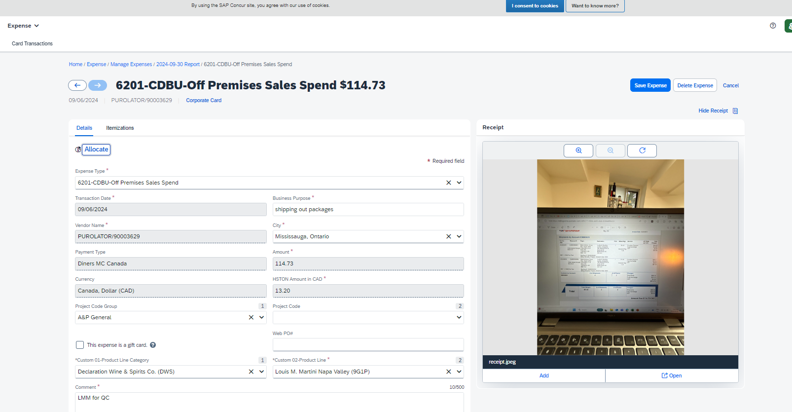 Audit Rule Multiple Allocations Trigger Audit Ru Sap Concur
