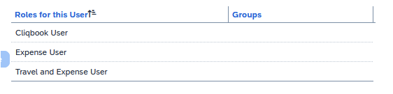 Solved Re Cannot Create Expense Only User Due To Group Sap